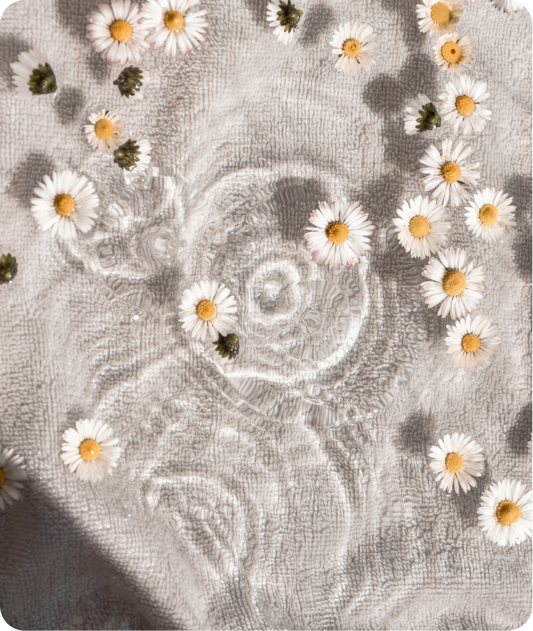 Home [immersive-wellness.com]